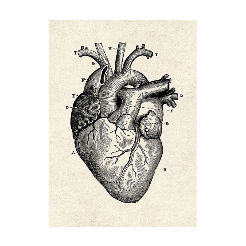 SL Póster De Anatomía Humana Vintage Arte Médico Imagen De Pared ...