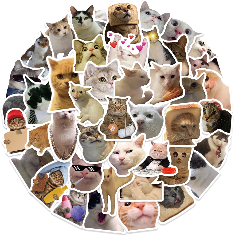 10/50PCS Gato MEME Divertido Animales Stickers Vintage Juguete DIY ...
