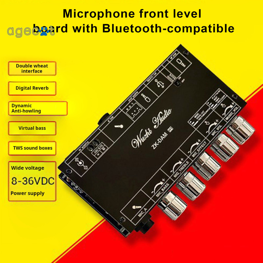 Usb Flash Drive Decoding Karaoke Device Backing Music Reverb Board Power Amplifier Module with ...